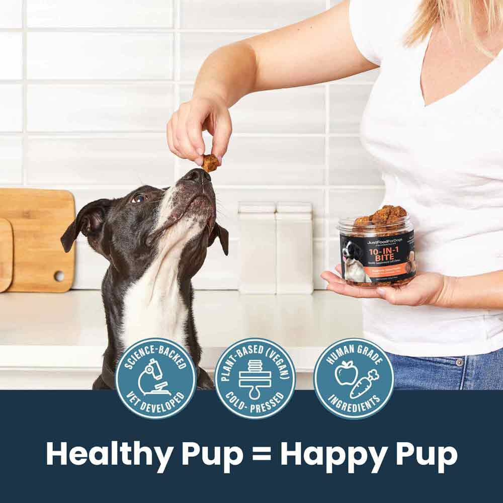 10-in-1 Bite (45 Chews) | JustFoodForDogs