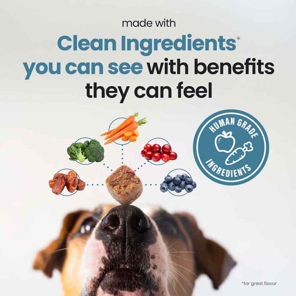 Hip + Joint Care (45 Chews) | JustFoodForDogs