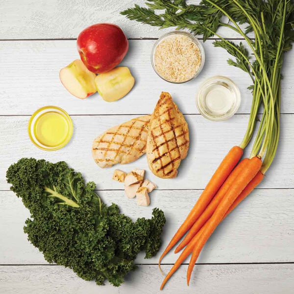 Chicken & White Rice Recipe (Large Box) | JustFoodForDogs