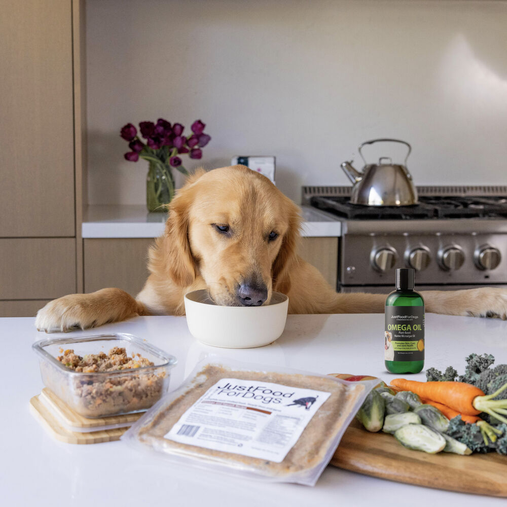 DIY Turkey + Omega Algae Bundle for Homemade Dog Food | JustFoodForDogs