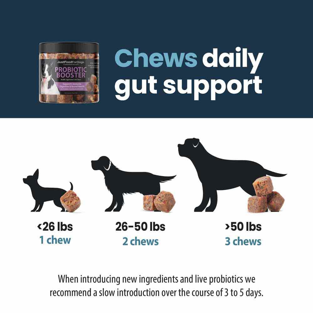 Probiotic Chews for Dogs (45 Soft Chews) | JustFoodForDogs
