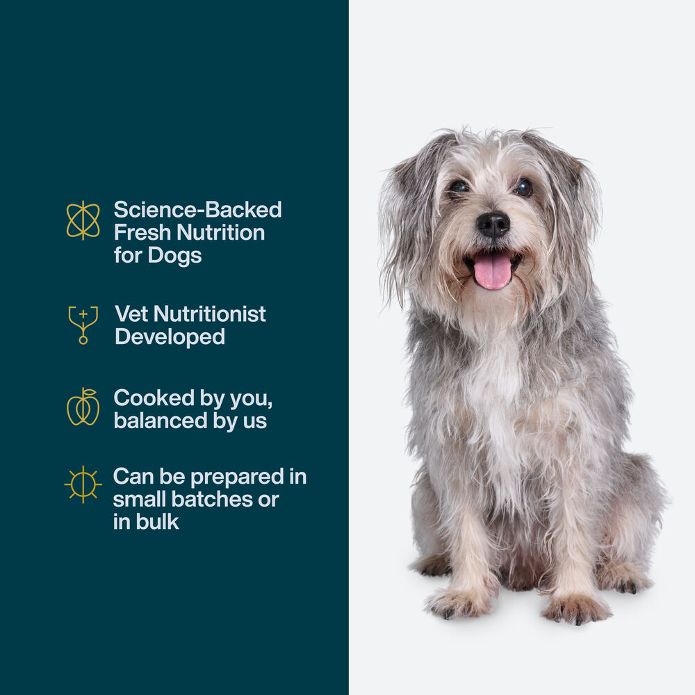 DIY Turkey + Omega Algae Bundle for Homemade Dog Food | JustFoodForDogs