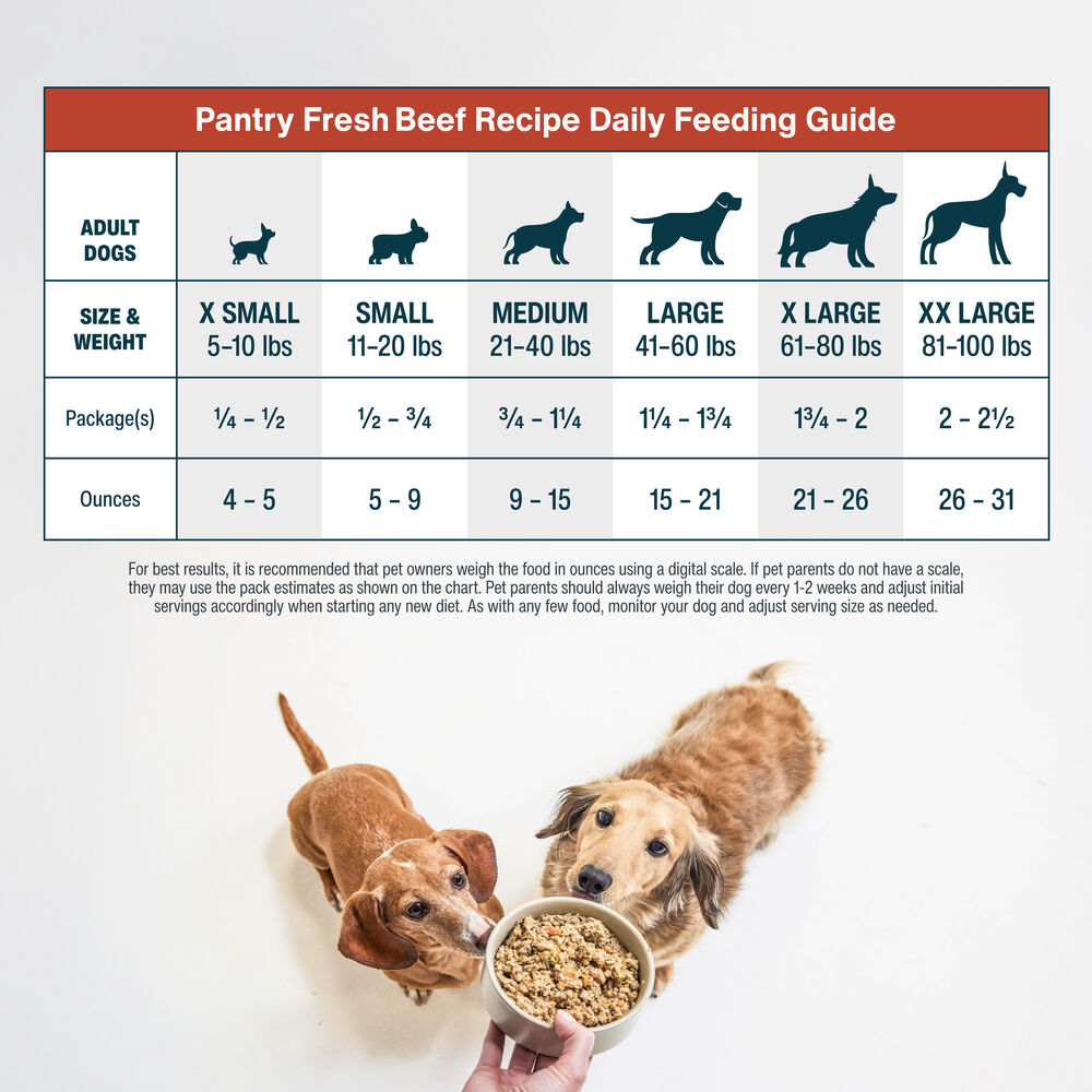 Pantry Fresh Beef & Russet Potato Recipe (Case of 12) | JustFoodForDogs