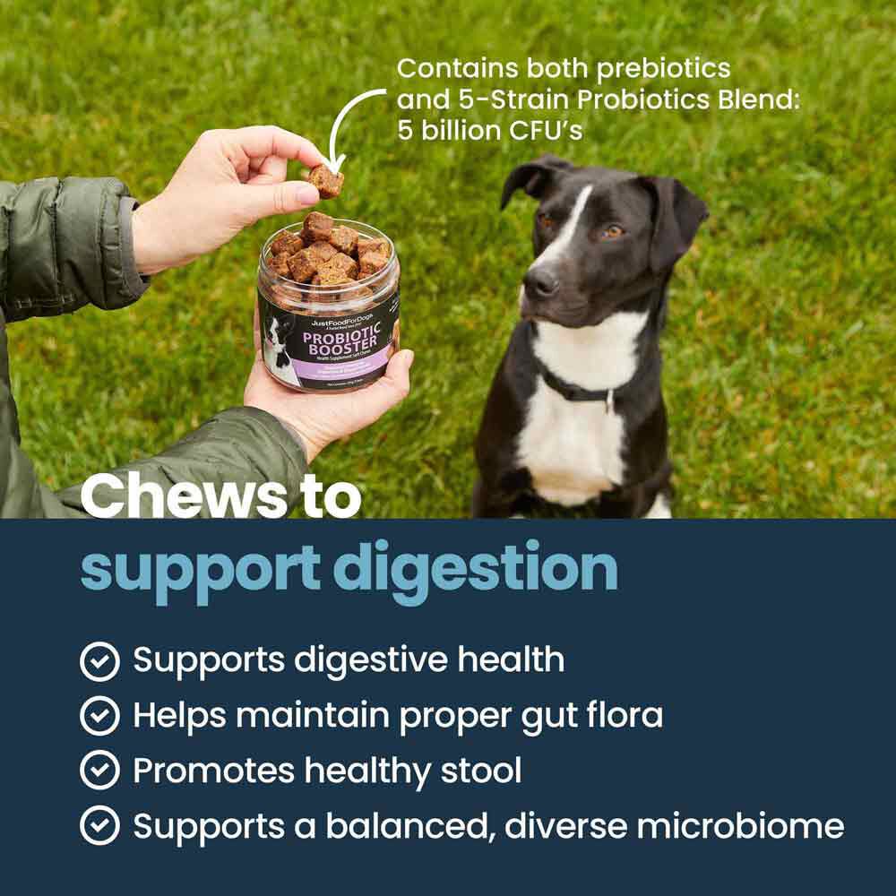 Probiotic Chews for Dogs (45 Soft Chews) | JustFoodForDogs