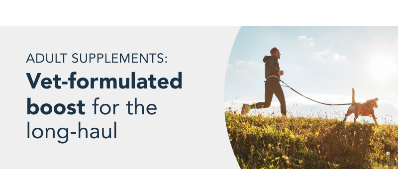 Supplements for Adult Dogs | JustFoodForDogs