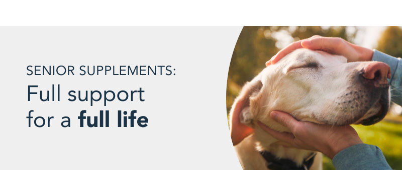 Supplements for Senior Dogs | JustFoodForDogs