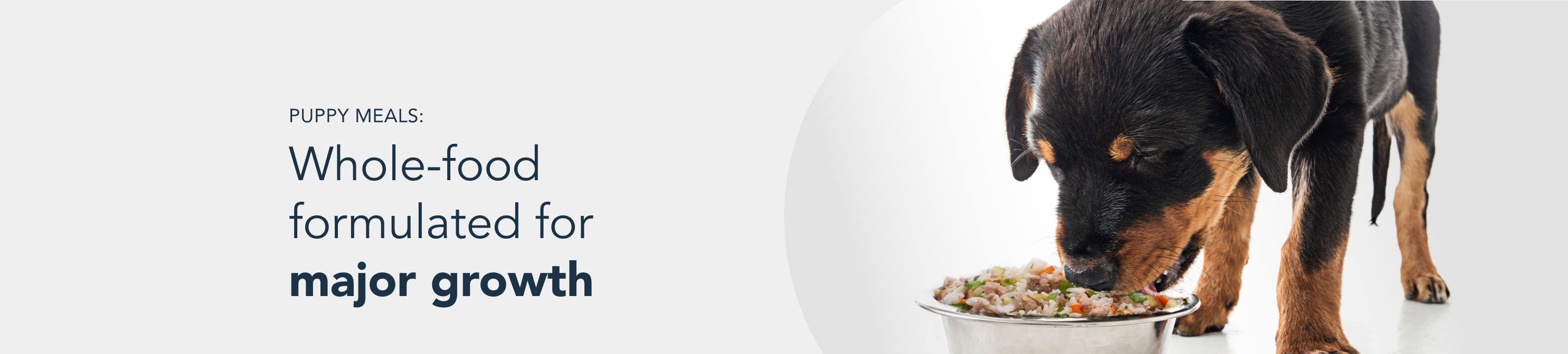 Fresh Dog Food for Puppies | JustFoodForDogs
